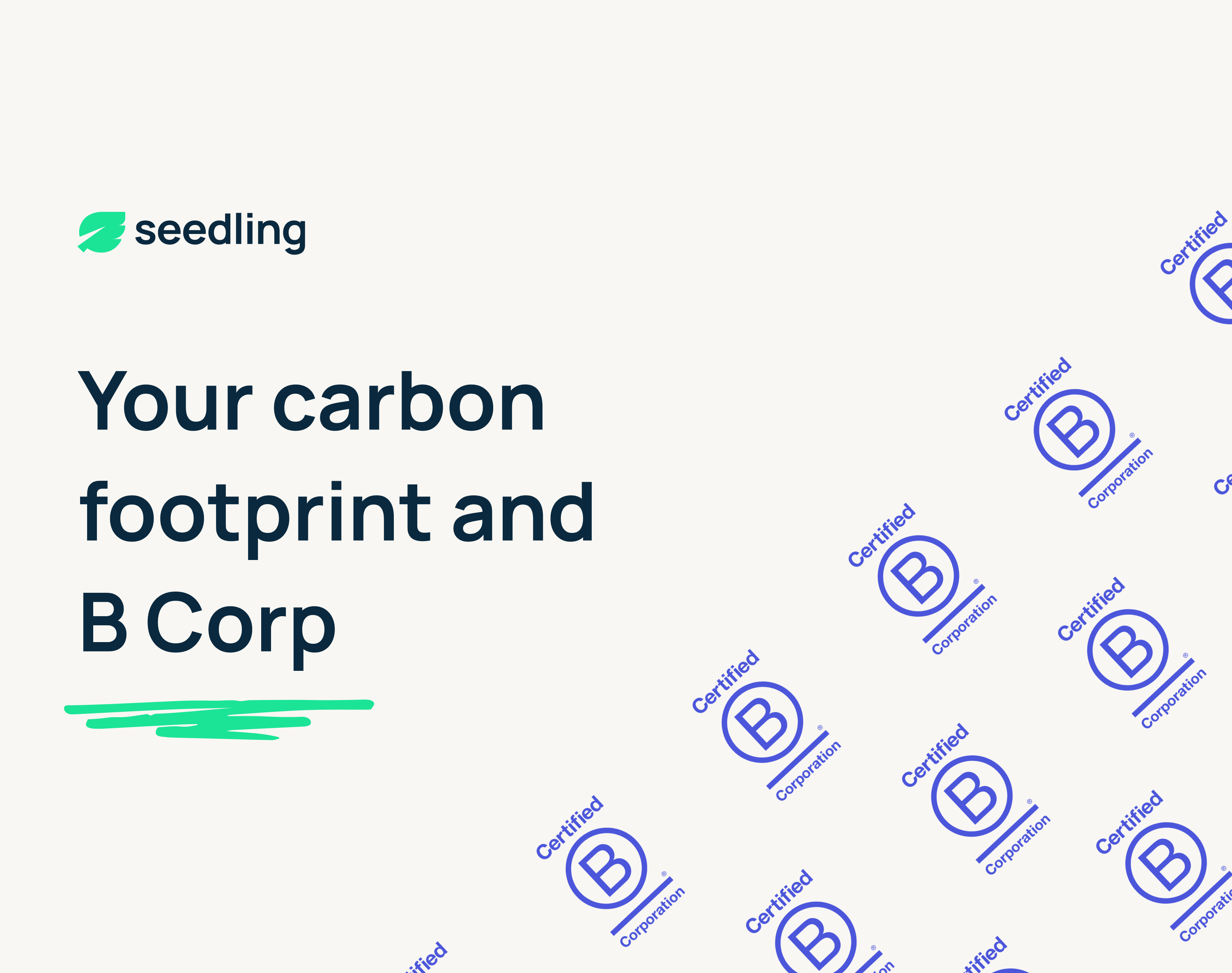 The B Corp Impact Assessment and your carbon footprint | Seedling